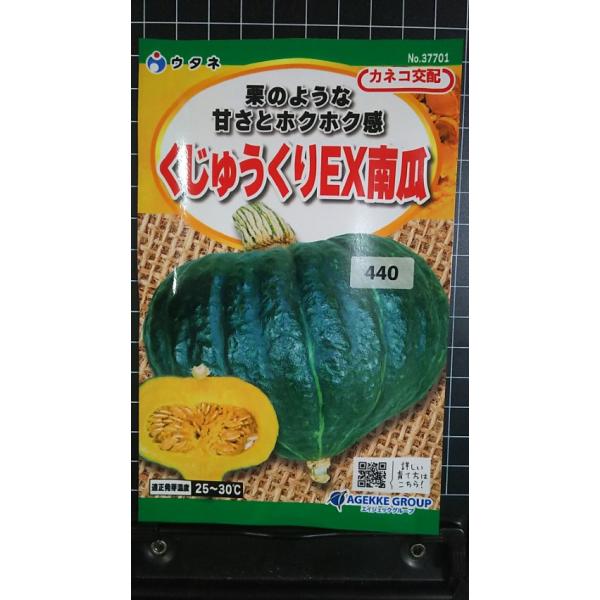 合計350円以下でのご注文は、申し訳ありませんがお受けできなくなっております。在庫切れ防止のため、実際の在庫数より販売可能数を少なく設定しております。まとまった数量をご希望の場合は、お問い合わせください。いろいろな品種を、よりどり３袋以上で...