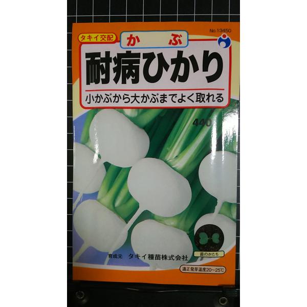 合計350円以下でのご注文は、申し訳ありませんがお受けできなくなっております。在庫切れ防止のため、実際の在庫数より販売可能数を少なく設定しております。まとまった数量をご希望の場合は、お問い合わせください。いろいろな品種を、よりどり３袋以上で...