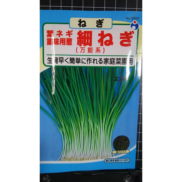 合計350円以下でのご注文は、申し訳ありませんがお受けできなくなっております。在庫切れ防止のため、実際の在庫数より販売可能数を少なく設定しております。まとまった数量をご希望の場合は、お問い合わせください。いろいろな品種を、よりどり３袋以上で...