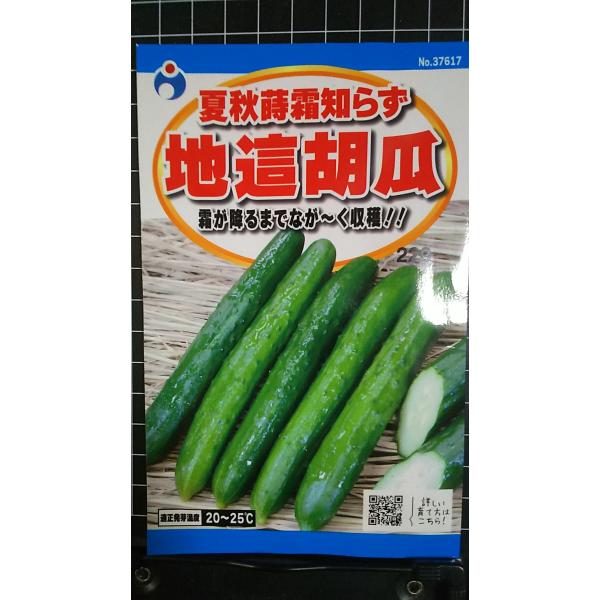 合計350円以下でのご注文は、申し訳ありませんがお受けできなくなっております。在庫切れ防止のため、実際の在庫数より販売可能数を少なく設定しております。まとまった数量をご希望の場合は、お問い合わせください。いろいろな品種を、よりどり３袋以上で...