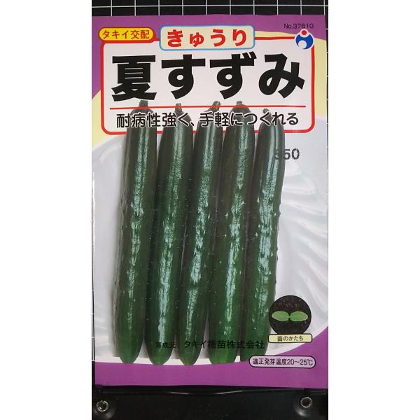 合計350円以下でのご注文は、申し訳ありませんがお受けできなくなっております。在庫切れ防止のため、実際の在庫数より販売可能数を少なく設定しております。まとまった数量をご希望の場合は、お問い合わせください。いろいろな品種を、よりどり３袋以上で...