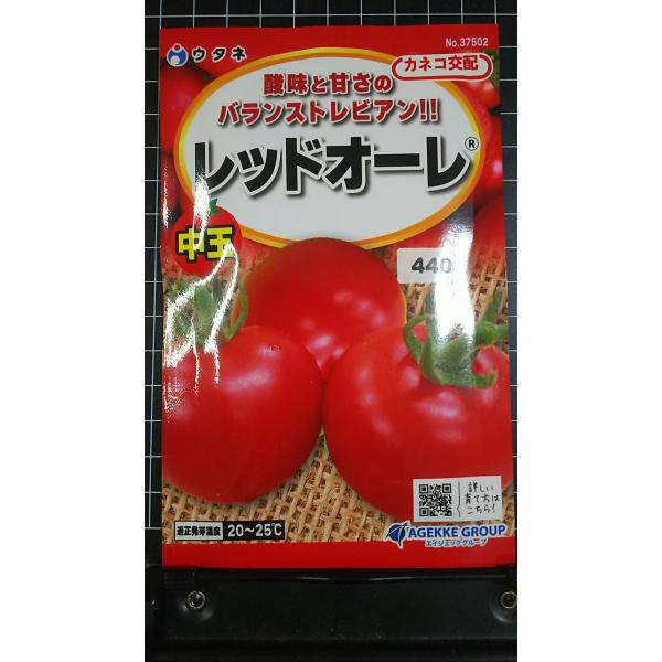 合計350円以下でのご注文は、申し訳ありませんがお受けできなくなっております。在庫切れ防止のため、実際の在庫数より販売可能数を少なく設定しております。まとまった数量をご希望の場合は、お問い合わせください。いろいろな品種を、よりどり３袋以上で...