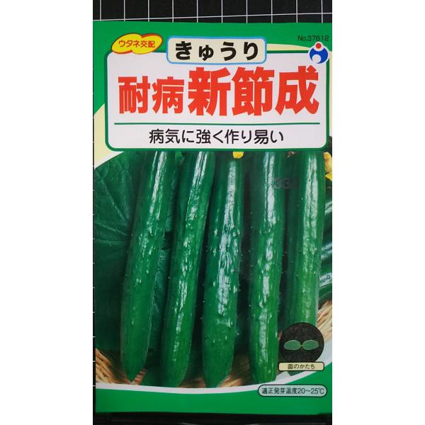 合計350円以下でのご注文は、申し訳ありませんがお受けできなくなっております。在庫切れ防止のため、実際の在庫数より販売可能数を少なく設定しております。まとまった数量をご希望の場合は、お問い合わせください。いろいろな品種を、よりどり３袋以上で...