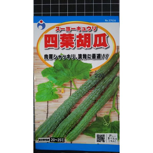 合計350円以下でのご注文は、申し訳ありませんがお受けできなくなっております。在庫切れ防止のため、実際の在庫数より販売可能数を少なく設定しております。まとまった数量をご希望の場合は、お問い合わせください。いろいろな品種を、よりどり３袋以上で...