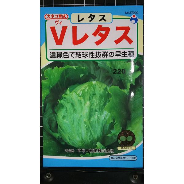 最低注文金額は合計350円以上から承ります。まとまった数量をご希望の場合、他モールの在庫を確認し、在庫数を移行できる場合がございます。お気軽にお問い合わせください。いろいろな品種を3袋以上お買い上げで、割引クーポンがご利用いただけます！必ず...