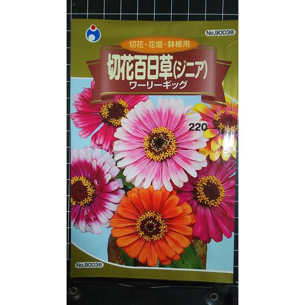 合計350円以下でのご注文は、申し訳ありませんがお受けできなくなっております。在庫切れ防止のため、実際の在庫数より販売可能数を少なく設定しております。まとまった数量をご希望の場合は、お問い合わせください。いろいろな品種を、よりどり３袋以上で...