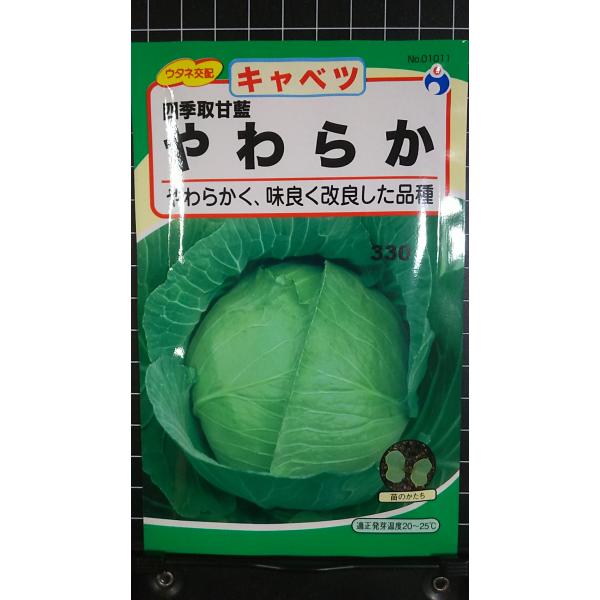 最低注文金額は合計350円以上から承ります。まとまった数量をご希望の場合、他モールの在庫を確認し、在庫数を移行できる場合がございます。お気軽にお問い合わせください。いろいろな品種を3袋以上お買い上げで、割引クーポンがご利用いただけます！必ず...