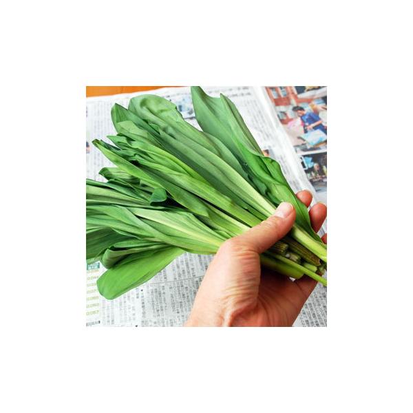 【ご注文前にご確認ください。】山菜は、その年の雪どけや霜の被害により採取時期が安定しません。そのため日時指定・曜日指定・早め希望等の出荷調整は一切お受けできません。また、お仕事やご旅行でご不在日が多いお客様も当店でのご注文をお控えいただけま...