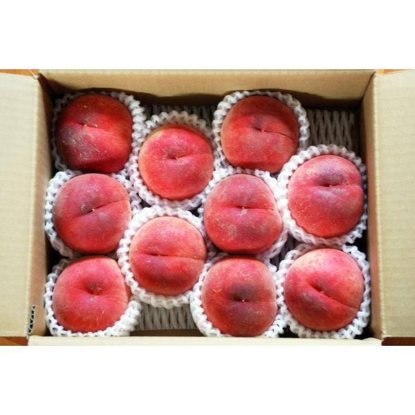 長野県産・特秀品　「白鳳２ｋｇ（１０玉）」出荷時期は８月上旬前後〜かための桃を収穫し、出荷をさせていただきます。日にちが経つとともに熟して柔らかくなりますが、傷みやすい果物ですのでお早めにお召上がりください。また、年によって採取時期・品質が...