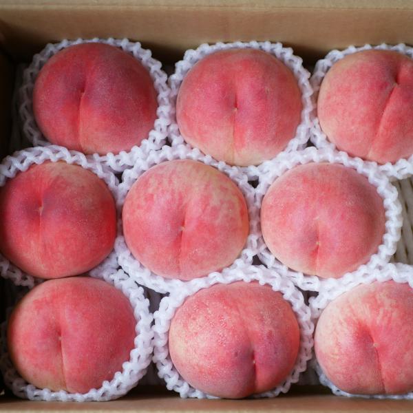 長野県産・特秀品　「白鳳２ｋｇ（９玉）」出荷時期は８月上旬前後〜かための桃を収穫し、出荷をさせていただきます。日にちが経つとともに熟して柔らかくなりますが、傷みやすい果物ですのでお早めにお召上がりください。また、年によって採取時期・品質が多...