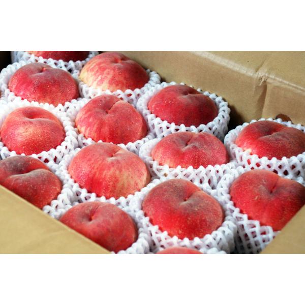 長野県産・特秀品　大玉「白鳳５ｋｇ（１５玉）」出荷時期は８月上旬頃〜かための桃を収穫し、出荷をさせていただきます。日にちが経つとともに熟して柔らかくなりますが、傷みやすい果物ですのでお早めにお召上がりください。また、年によって採取時期・品質...
