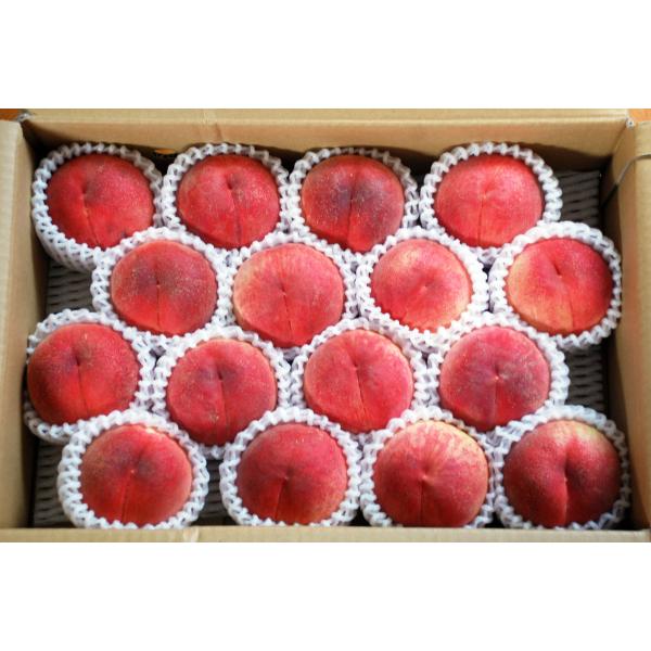 長野県産・特秀品「白鳳５ｋｇ（１６玉）」出荷時期は８月上旬前後〜かための桃を収穫し、出荷をさせていただきます。日にちが経つとともに熟して柔らかくなりますが、傷みやすい果物ですのでお早めにお召上がりください。また、年によって採取時期・品質が多...