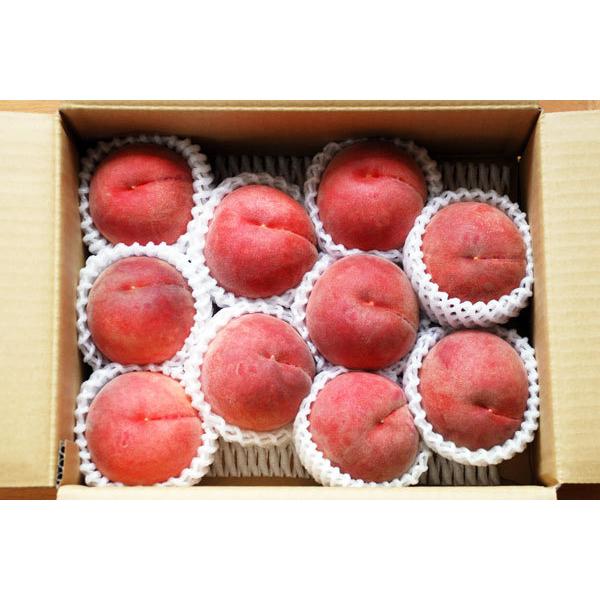 長野県産・特秀品　「川中島白桃２ｋｇ（１０玉）」出荷時期は８月２０日前後〜かための桃を収穫し、出荷をさせていただきます。日にちが経つとともに熟して柔らかくなりますが、傷みやすい果物ですのでお早めにお召上がりください。また、年によって採取時期...