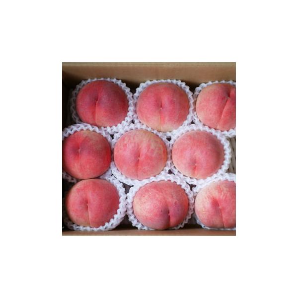 長野県産・特秀品「川中島白桃２ｋｇ（９玉）」出荷時期は８月２０日前後〜かための桃を収穫し、出荷をさせていただきます。日にちが経つとともに熟して柔らかくなりますが、傷みやすい果物ですのでお早めにお召上がりください。また、年によって採取時期・品...
