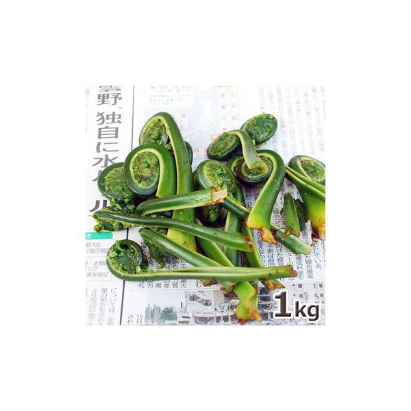 【ご注文前にご確認ください。】山菜は、その年の雪どけや霜の被害により採取時期が安定しません。そのため日時指定・曜日指定・早め希望等の出荷調整は一切お受けできません。また、お仕事やご旅行でご不在日が多いお客様も当店でのご注文をお控えいただけま...