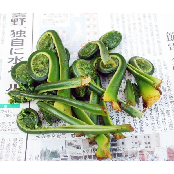 【ご注文前にご確認ください。】山菜は、その年の雪どけや霜の被害により採取時期が安定しません。そのため日時指定・曜日指定・早め希望等の出荷調整は一切お受けできません。また、お仕事やご旅行でご不在日が多いお客様も当店でのご注文をお控えいただけま...