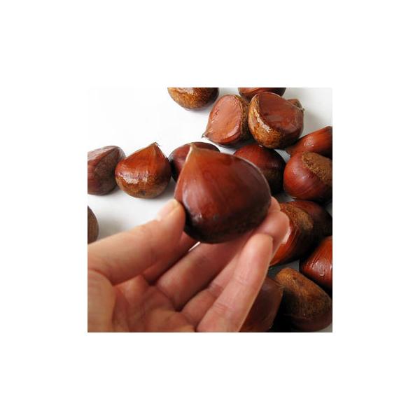 栗菓子で有名な、長野県・小布施町の「小布施栗」です。 ■内容量： 小布施栗１ｋｇ（２Ｌサイズ）バラ詰め※大粒の２Lサイズ ２Lサイズは、１粒あたり約２２〜２５ｇ １ｋｇで約４０〜４５粒入り ■お届け時期：10月中旬頃〜ご注文順に出荷致します...