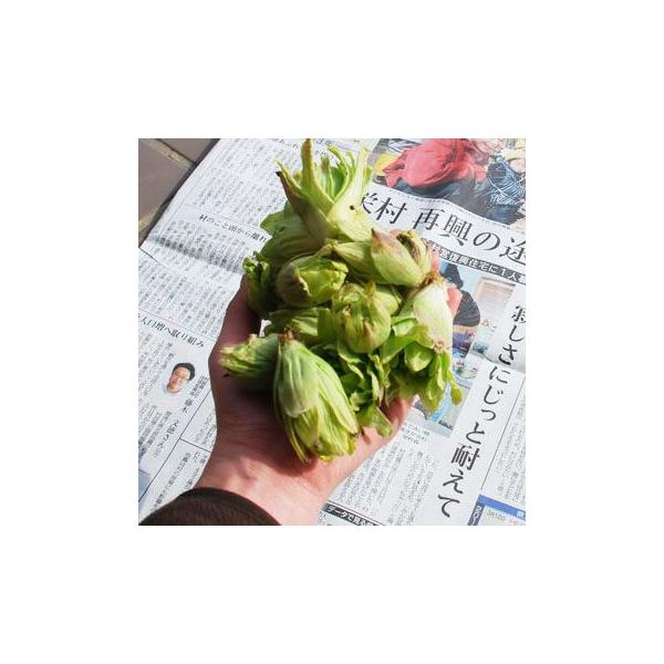 【ご注文前にご確認ください。】山菜は、その年の雪どけや霜の被害により採取時期が安定しません。そのため日時指定・曜日指定・早め希望等の出荷調整は一切お受けできません。また、お仕事やご旅行でご不在日が多いお客様も当店でのご注文をお控えいただけま...