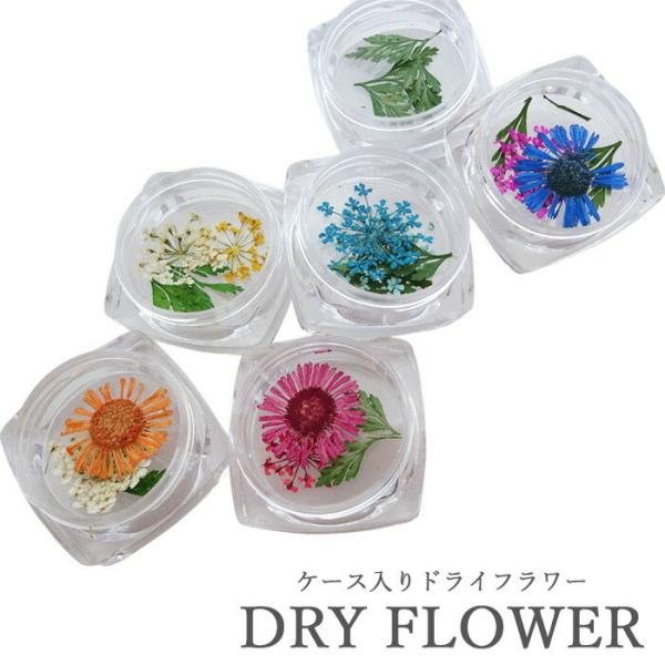 リーフ入り 押し花 ドライフラワー リーフ 葉っぱ 葉 押し花 ドライフラワー アジアンタム ハーバリウム 天然 ハンドメイド ネイル ジェルネイル 埋め込み