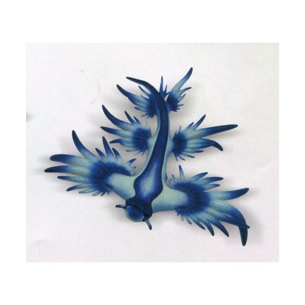 2023新作 BULLYLAND(ブリーランド) ハフリンガー 雌馬 62696