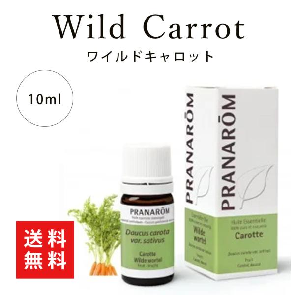 【商品詳細】▼PRANAROM ワイルドキャロット 学名：Daucus carota var.sativus. 内容量：5ml▼土の匂いと草の香りが混ざったような香りです。▼海外からの並行輸入につき、成分分析表の添付はございませんので、ご了...
