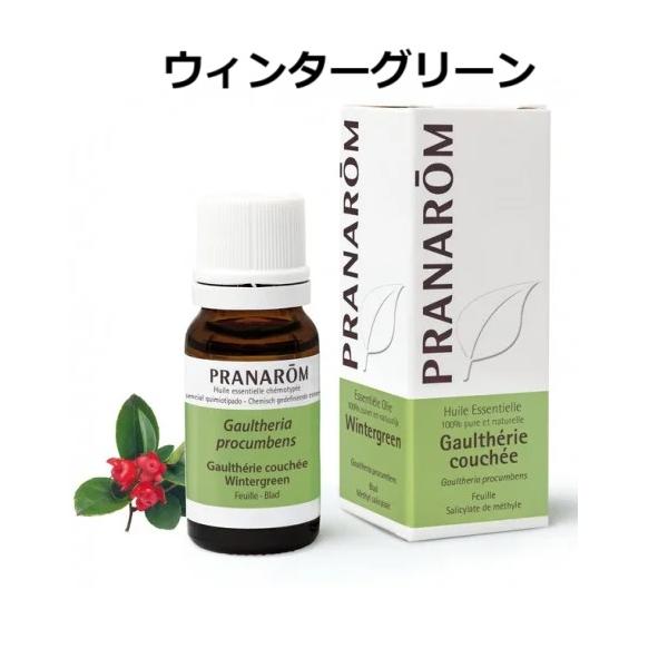 【精油名】ウィンターグリーン【学名（科名）】Gaultheria procumbens（ツツジ科）　【特徴】メントール系の目が覚めるような強い香りは眠気覚ましに最適です。湿布のような強い香りが残るので、使用する時間や場所には注意してください...
