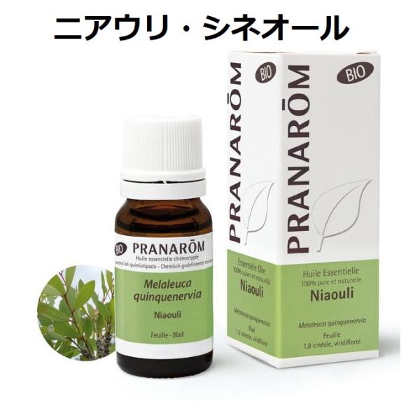 【精油名】ニアウリ・シネオール【学名（科名）】Melaleuca quinquenervia CT1（Cineole） （フトモモ科）【特徴】ユーカリを甘くしたような、優しく爽やかな香り。頭をスッキリさせて心をリフレッシュさせてくれます。【...
