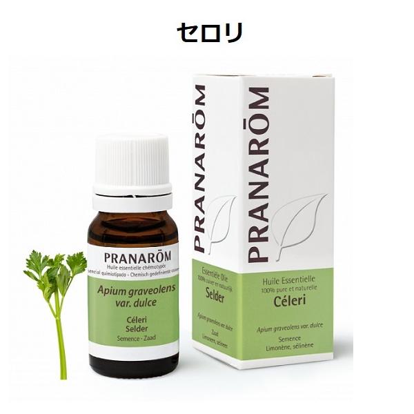 【精油名】セロリ【学名（科名）】Apium graveolens （セリ科）【特徴】薬品のような独特でスパイシーな香り。セロリの歴史は古く、ローマやギリシャ時代には医薬品に用いられていたと言われています。【容量】10ml【抽出方法】水蒸気蒸...