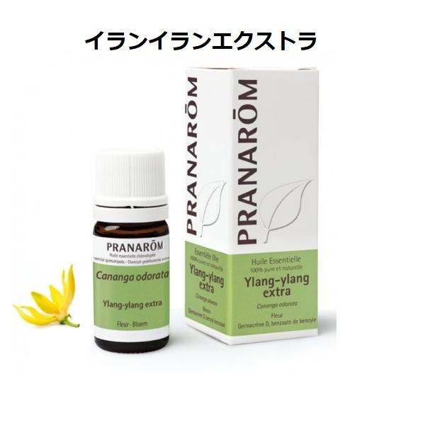 【精油名】イランイランエクストラ【学名（科名）】Cananga odorata （バンレイシ科）【特徴】イランイランを抽出する時、最初に採れる甘い香りの部分を中心に集めたものです。 イランイランよりも温かみがあり、さらに甘い香りを放ちます。...