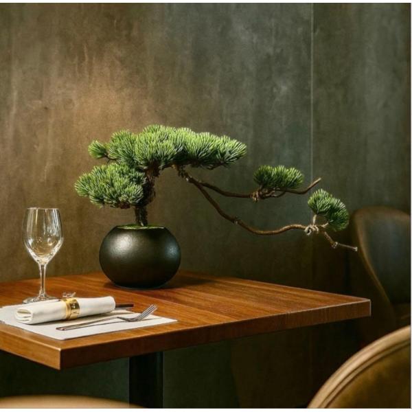 まるでホンモノの様な堂々とした風格の高品質なフェイク盆栽繊細で鮮やかなグリーンの苔や、リアルな葉や枝の曲線にもこだわりがつまっています。もちろんお手入れ不要で、生木の盆栽のように枯れる事がありません。メンテナンスフリーで和の空間をお楽しみい...