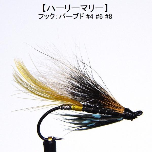 パターン名：サーモンフライタイプ：サーモン用ウエットフライ主な使い方：水面下で使う大型フライイメージ：小魚　稚魚対応フック：バーブド（返しあり）サイズ #4 #6 #8一言：サケ釣り/大型トラウト/サーモンフライ/本流の大型とても実績が高い...