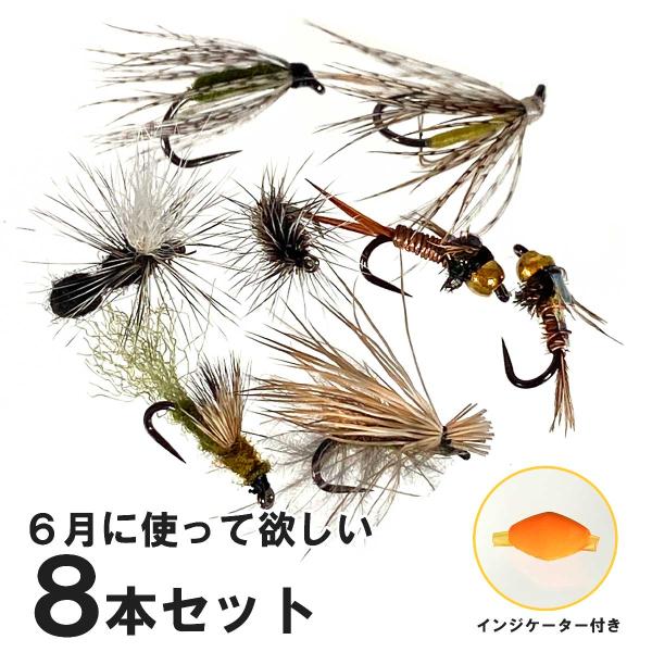 6月の渓流に対応！完成フライ8本＋目印付きセット梅雨や渇水、魚のスレが気になる6月。この時期に強いパターンを厳選した、実践仕様の完成フライセットです。初心者〜中級者まで扱いやすく、浮かせて、沈めて、漂わせて…すべてが揃っています。【セット内...