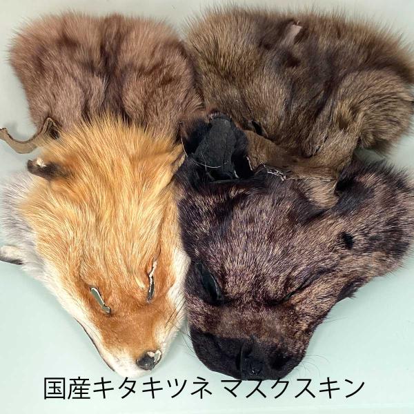 国産キタキツネのマスクスキン（顔部）北海道の自然が育てたキタキツネの顔部から採取した、希少な天然マテリアルです。毛の長さは約3〜5cmで、アンダーファーは細かく柔らかく、ガードヘアにはほどよい張りと艶があります。顔全体にかけて赤茶〜灰〜黒が...