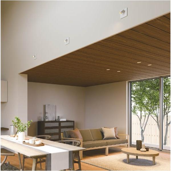 ■沖縄、離島は送料の算定が困難な上、不具合発生時の現場対応ができないため、ご注文をお受けしていませんので、悪しからずご了承下さい。白熱灯100W相当 調光器別売