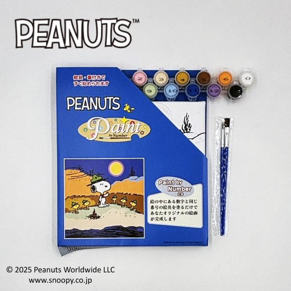 Paint by Number（ペイントバイナンバー）は、絵具に番号がついているので、どなたでも気軽に楽しめるホビーキットです。＜POINT１＞アクリル絵具と筆もセット！すぐに始められます＜POINT２＞軽量なので押しピン１個でお部屋の壁に...