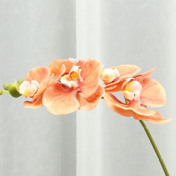 花　5輪L45花径4.5~9cm