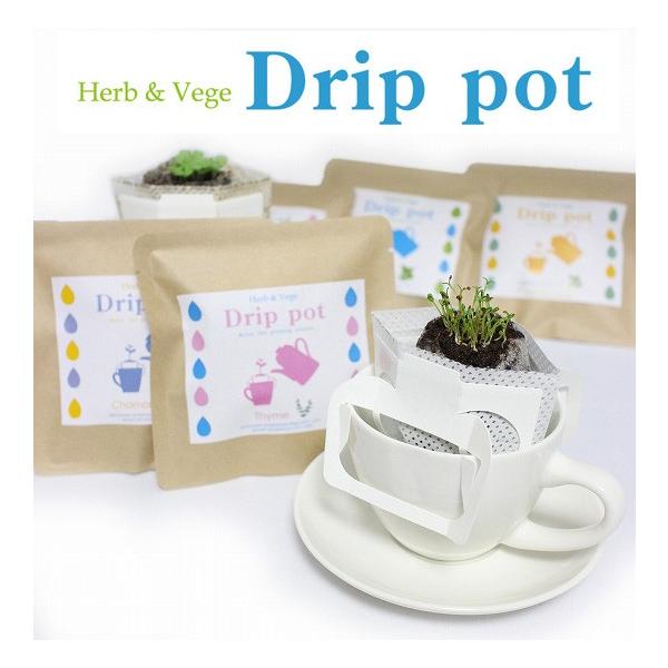 【発売日：2019年04月20日】袋の中には種・膨らむ土・ドリッパーがセットされています。土は圧縮乾燥されてますので水分で膨らませて種を蒔くだけです。お好きなカップにセットして栽培を楽しめます！日頃の感謝を込めてお友達やお客様へのプレゼント...