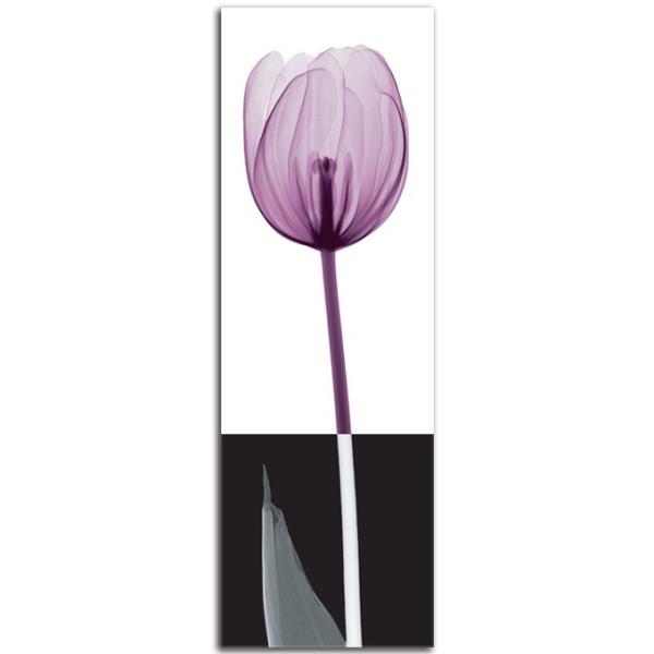 絵画 縦長 高級 花 Stem2 SIZE/mm 280*880 おしゃれ 壁掛け 絵 インテリア「究極の繊細美 PLEXIGLASレントゲンアート」ギャラリー 正規品