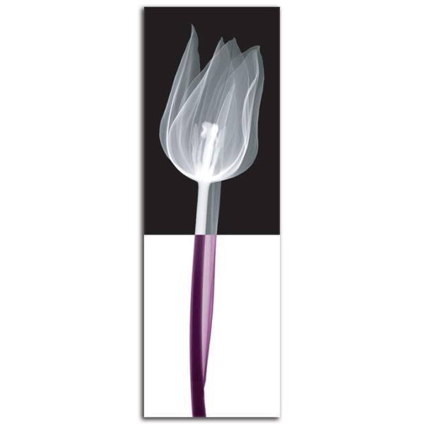 絵画 縦長 高級 花 Stem3 SIZE/mm 280*880 おしゃれ 壁掛け 絵 インテリア「究極の繊細美 PLEXIGLASレントゲンアート」ギャラリー 正規品