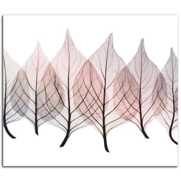 絵画 横長 高級 花 Celosais SIZE/mm 740*590 おしゃれ 壁掛け 絵 インテリア「究極の繊細美 PLEXIGLASレントゲンアート」ギャラリー 正規品