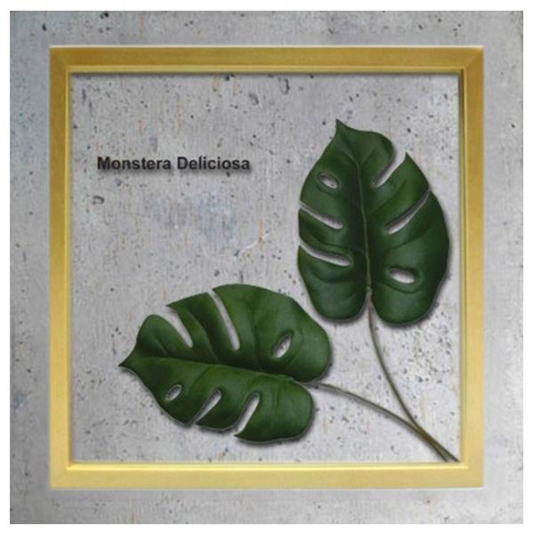 人気のリーフパネルに新色 ナチュラル 登場！付属のホワイトペーパーで2通りのイメージを演出インテリアグリーンアート ForestDeco Monstera Deliciosa2 モンステラ