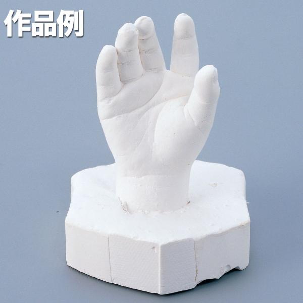 取扱い説明書付主材料：海藻由来のアルギン酸カリウム・ナトリウム・珪藻土・他水との混合割合：型取り剤100gに対して水400ml硬化時間：10分前後(気温20℃に対して水温23℃時)注型材として石こうを使うのに便利な印象材です。水で練ると数分...