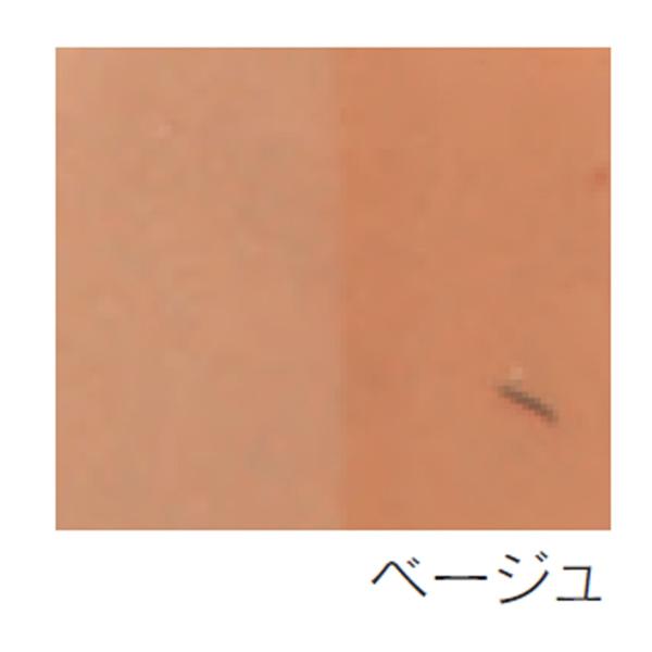 内容量：100g色：ベージュ粘土重量に対して、顔料5〜10%をよく練りこんでください。粘土自体の持ち味によって、発色がかなり異なってきます。できるだけ、白く焼きあがる土をご使用ください。ベージュ、プラセオ黄、若竹、グレーは還元焼成は不適です。