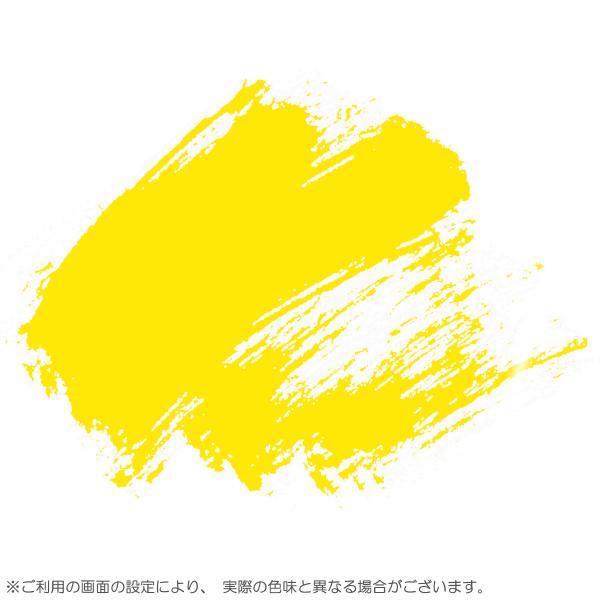 容量：20mL 1本発色の精度にこだわり、全81色のうち66色が単一顔料。極めて濁りの少ない混色を実現します。同時に作品を長期間保存するための耐光性を追求。また余計な原材料を徹底して省き、顔料を主役に設計した顔料濃度の高さも特長。高濃度のリ...