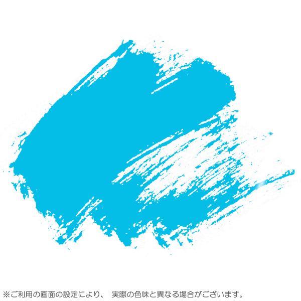 容量：60mL 1本発色の精度にこだわり、全81色のうち66色が単一顔料。極めて濁りの少ない混色を実現します。同時に作品を長期間保存するための耐光性を追求。また余計な原材料を徹底して省き、顔料を主役に設計した顔料濃度の高さも特長。高濃度のリ...