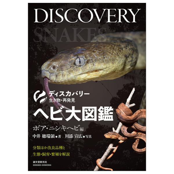 著者名：中井 穂瑞領編集者名：川添 宣広判型：B5ページ数：224大蛇と称されるヘビの仲間は、中南米に生息するのが主にボアとそれ以外のニシキヘビ。おとなしく、美しい種、品種が多数揃うためコーンスネークと並び、爬虫類では飼育者に人気のあるグル...