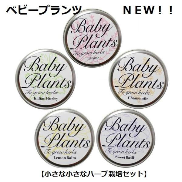 ベビープランツ【小さな小さなハーブ栽培セット】☆土は圧縮乾燥されてますので水分で膨らませて種を蒔くだけです。種と説明書・土が入ってます。サイズ：直径4cm×高さ1.7cm種類：バジル、タイム、イタリアンパセリ、レモンバーム、カモミール原産国...