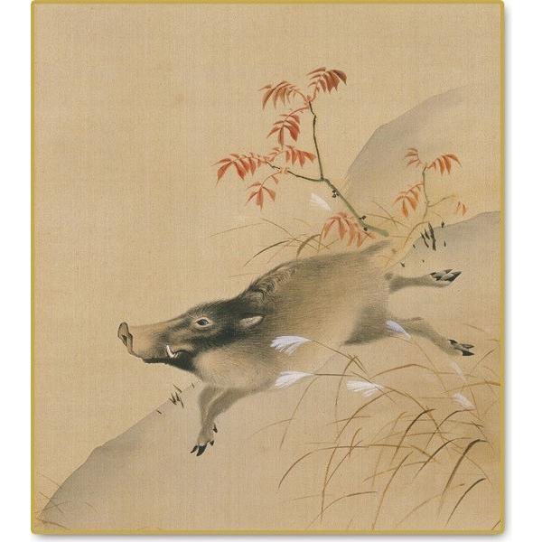 【発売日：2018年08月20日】森一鳳筆の書画を2019年度（亥年）の干支色紙に仕立てました。床の間や玄関先などへの飾り物、新年のご贈答に最適です。◇仕様：オフセット印刷色紙1枚／たとう紙・解説付◇寸法：縦27.2×横24.2cm◇割引：...