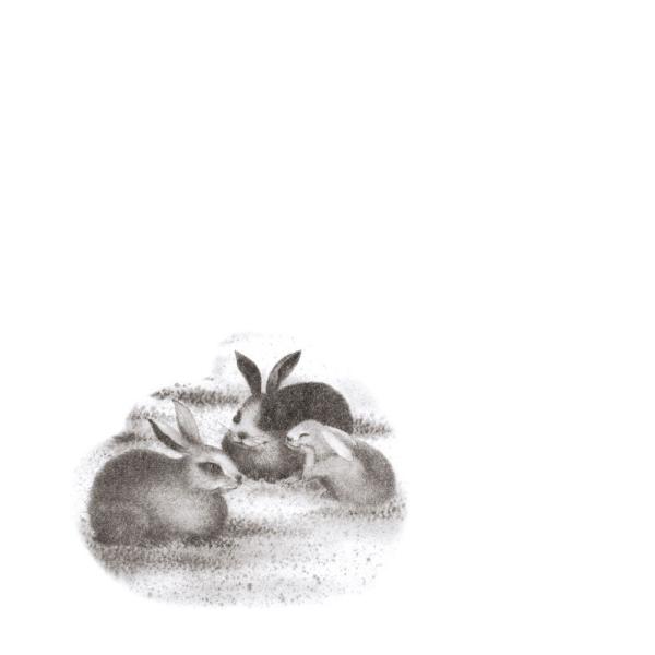 【発売日：2022年08月20日】空いてる部分に賛を書き込むタイプの色紙です。2023年・卯年にふさわしい古語を集めた参考語句の一覧表付で、どなたでも簡単に画賛色紙が出来ます。1枚1枚賛を書き入れて、または何も書かない状態で贈り物にされても...