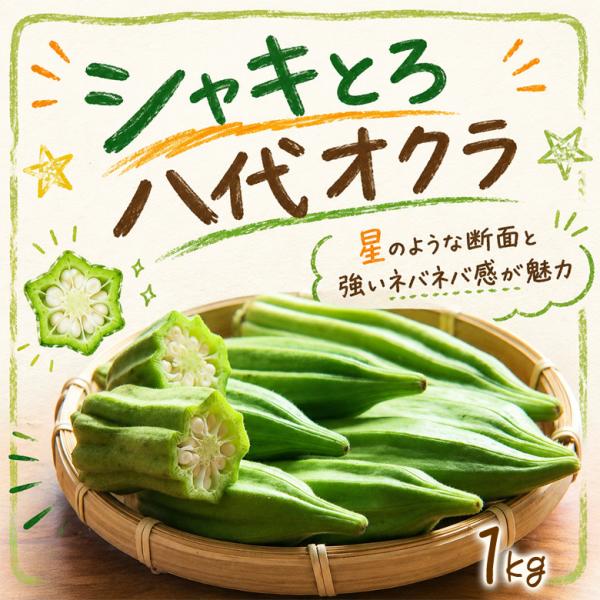 【発送予定】8月下旬以降【1本の重さ・大きさ・形不揃い】【八代オクラって？】・豊岡市八代地区で昔から栽培されている在来種の伝統野菜です。・通常のオクラより大きく肉厚で、八角形以上の多角形です。・やわらかく、粘りが強いのが特徴です。【オススメ...